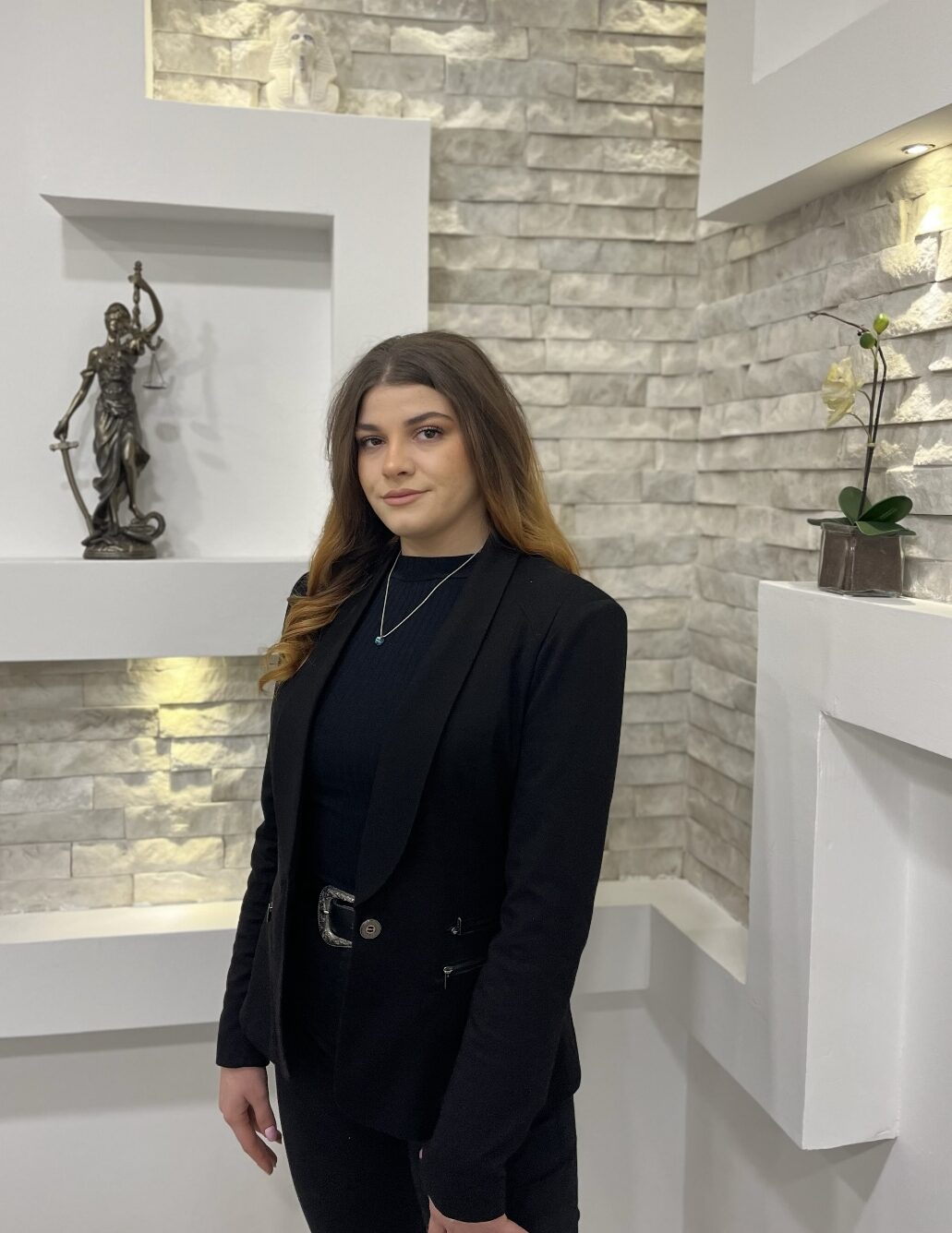 Naš tim – Advokat Nermin Vila Sarajevo | radno pravo, privredno pravo ...